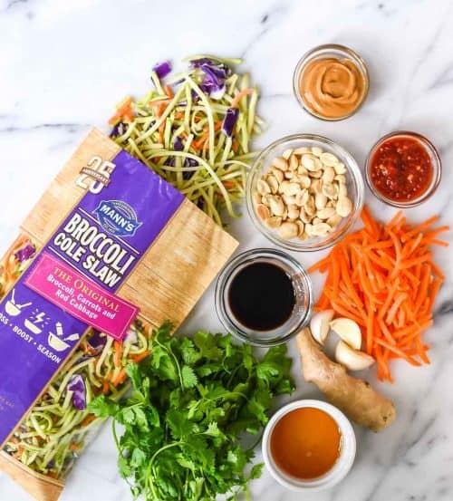 Asian Noodle Salad {With Creamy Peanut Dressing!} - WellPlated.com