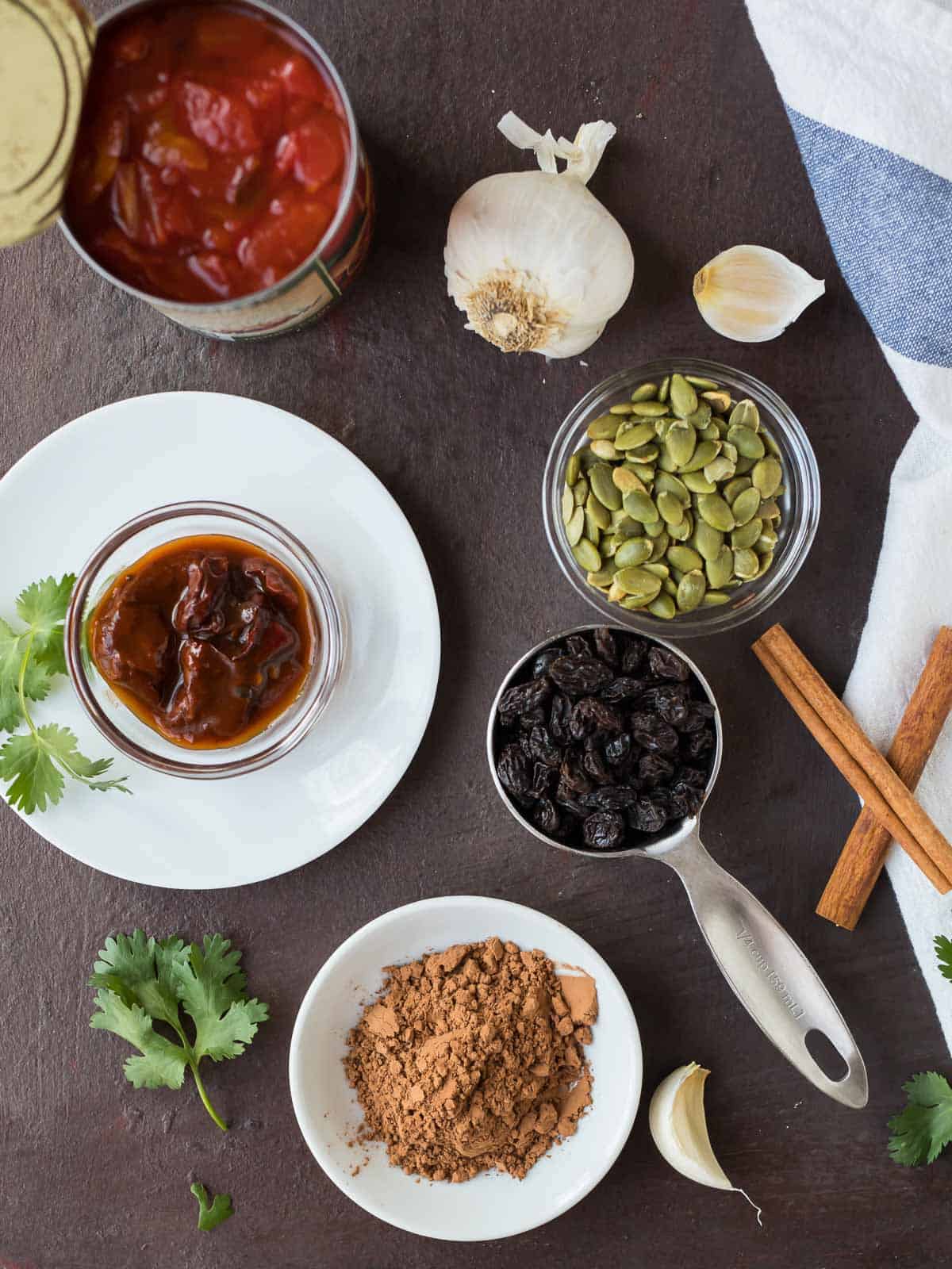Easy Chicken Mole | Fast Instant Pot Shredded Chicken Mole