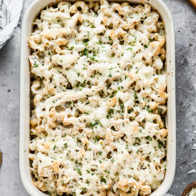 Marry Me Chicken Lasagna Roll Ups – WellPlated.com