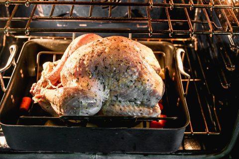 Thanksgiving Turkey {Best Recipe} – WellPlated.com