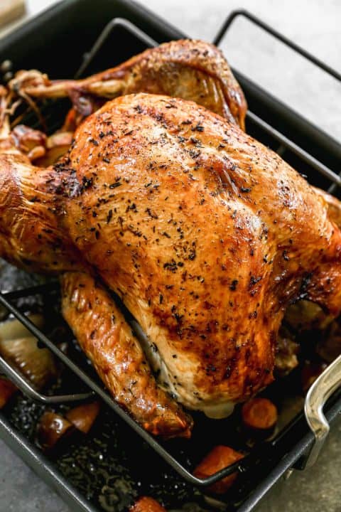 Thanksgiving Turkey {Best Recipe} – WellPlated.com