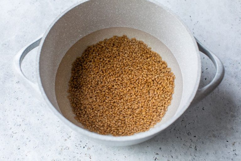 How to Cook Wheat Berries – WellPlated.com